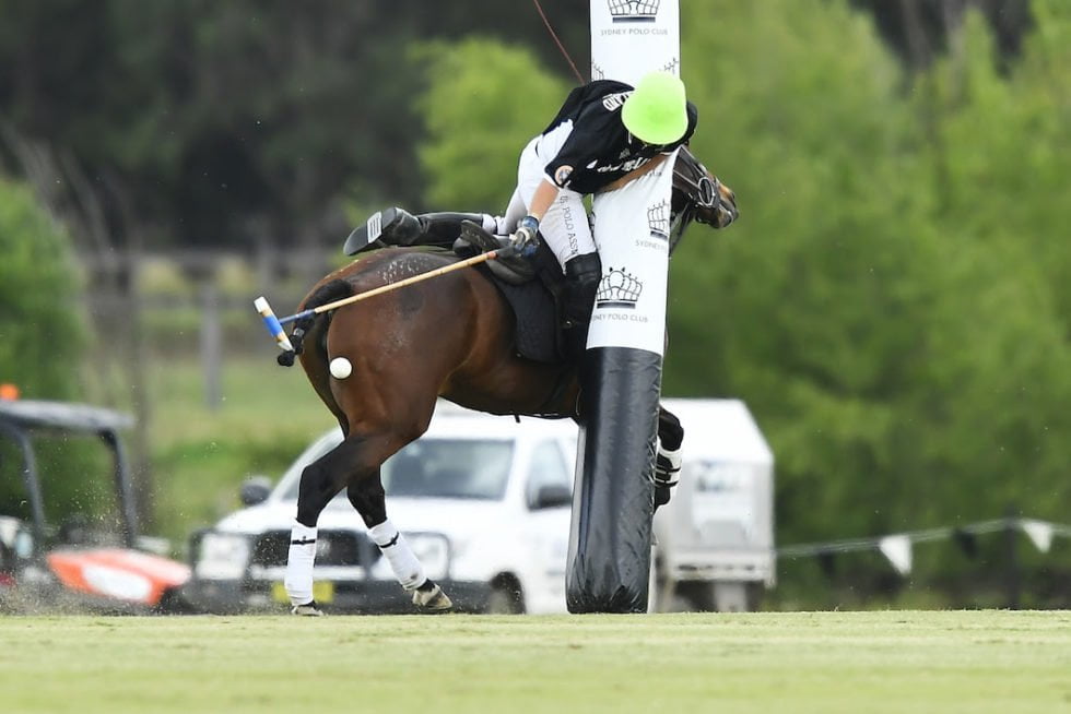 Polo.NL => Polo Glossary